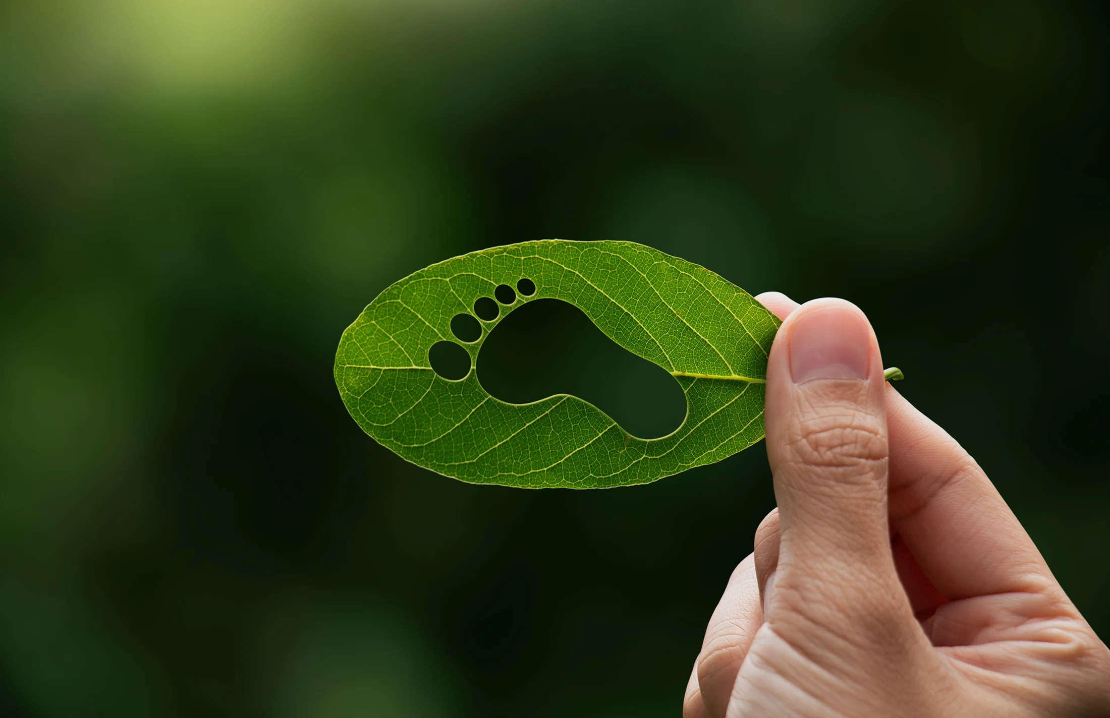 Boosting Sustainability with Technology | IntraLAN